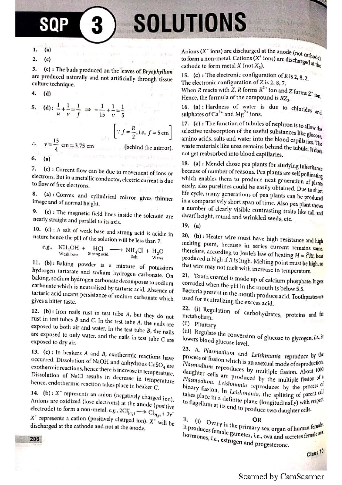 Sample paper 3 solution - SQP 3 SOLUTIONS 1. (a) Anions (X ions) are ...