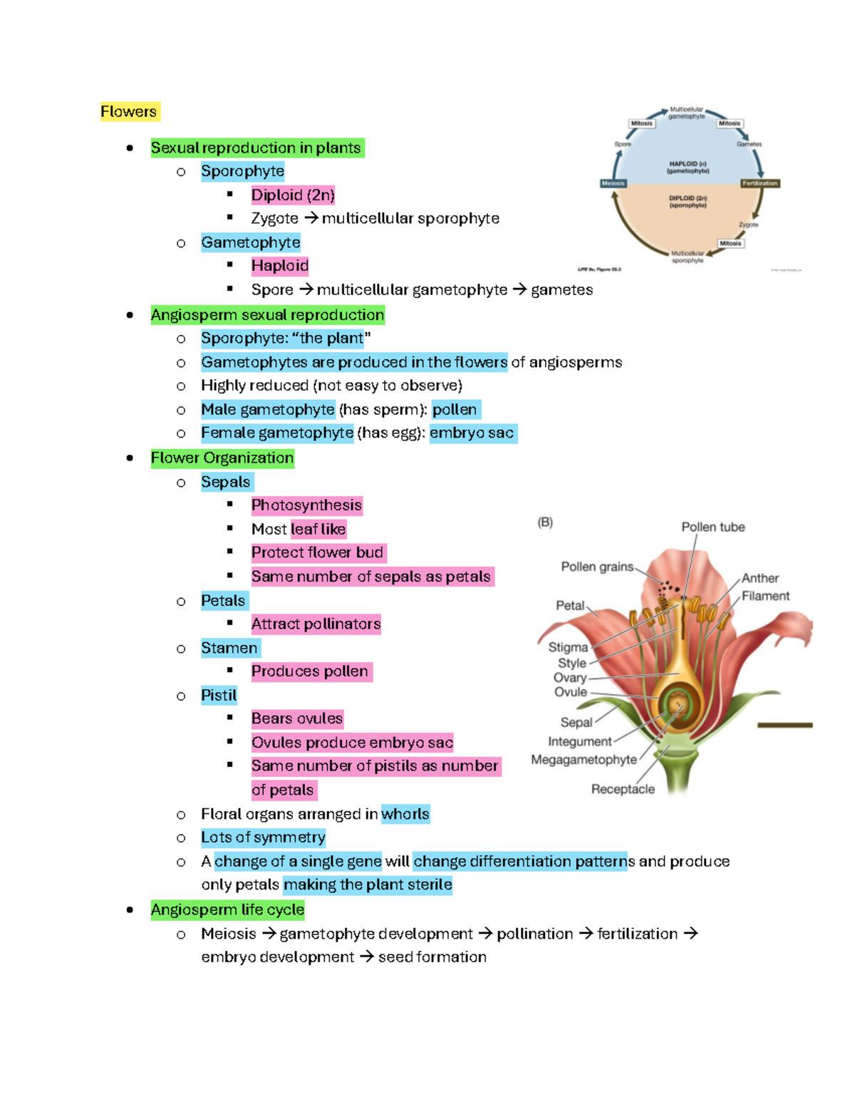 Ecology Study Guide - Flowers - Sexual reproduction in plants o ...