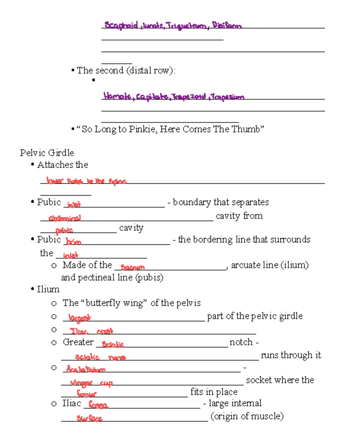 **BIOL 223: A&P I Lecture Outline – Week 6 on Joint Structures and ...
