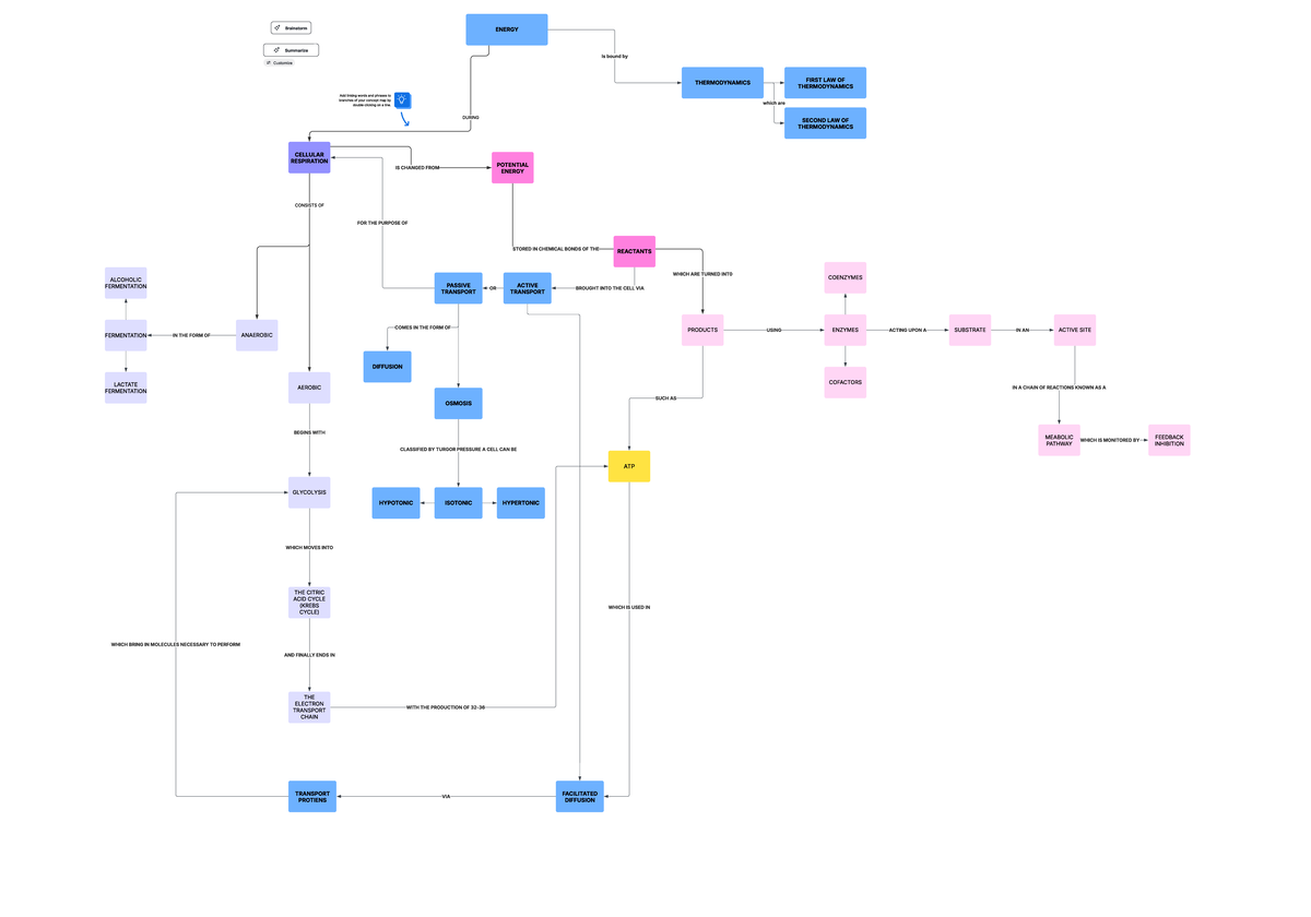Concept Map for Cellular Respiration - Mod 3 - Studocu