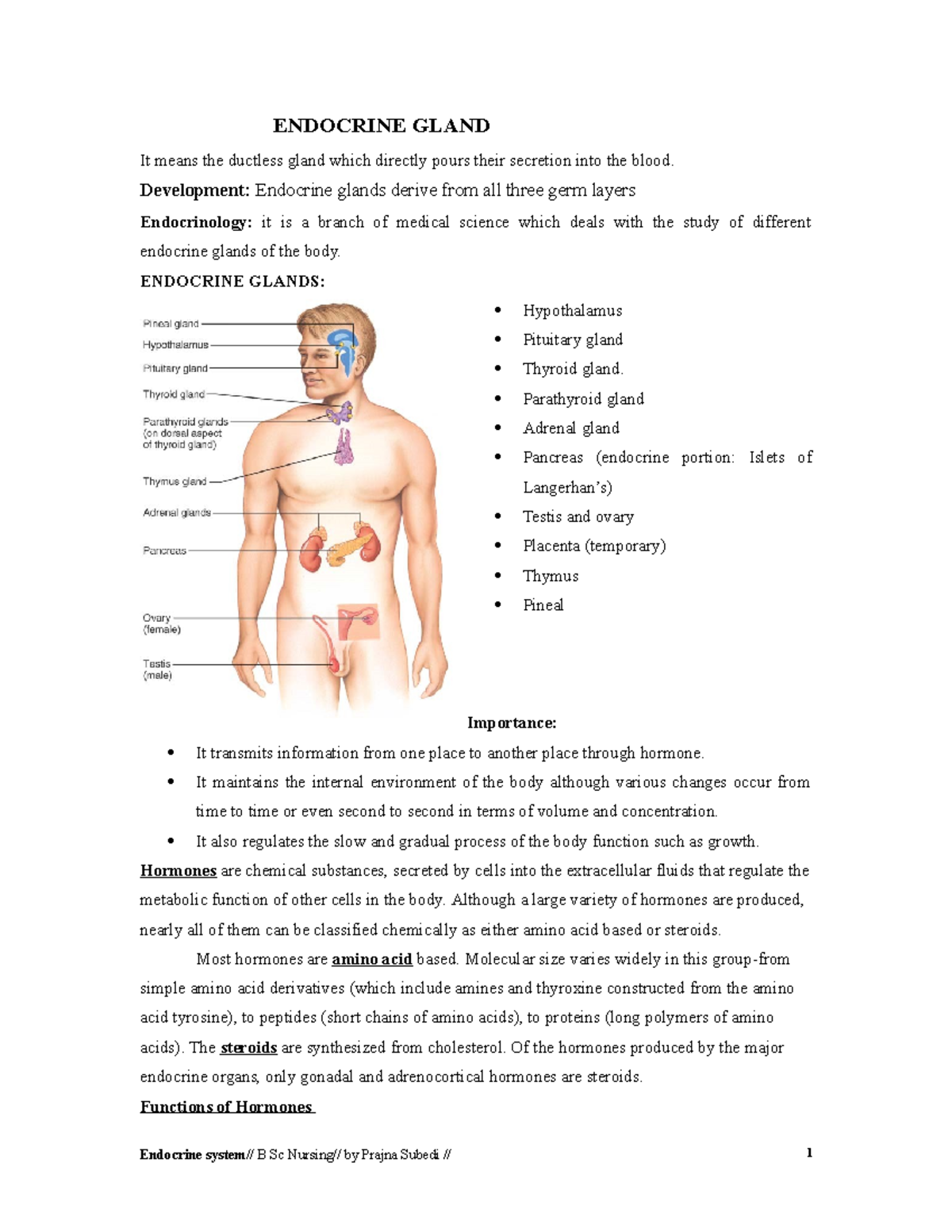 Endocrine System 1 - Copy - ENDOCRINE GLAND It means the ductless gland ...