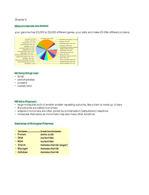 Gregor Mendel's Contributions to Genetics: Key Principles Explained ...