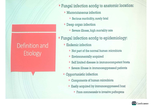 Breech Presentation CS: Classification, Diagnosis, and Delivery Methods ...