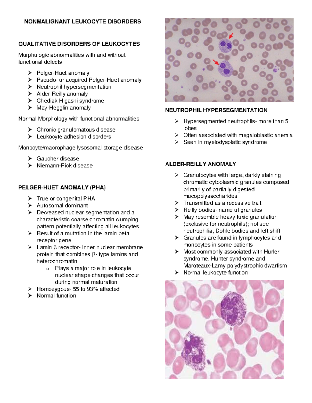 Nonmalignant Leukocyte Disorders Chapter 29 - NONMALIGNANT LEUKOCYTE ...