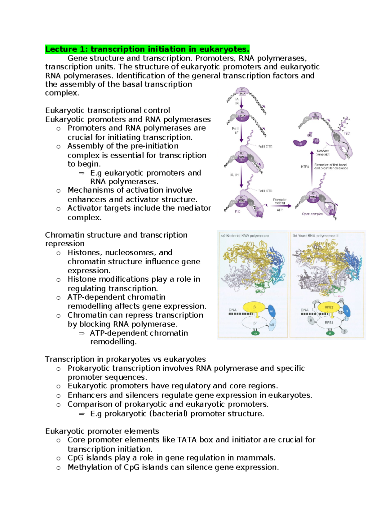 CMB2001 control of eukaryotic gene expression - Lecture 1 ...