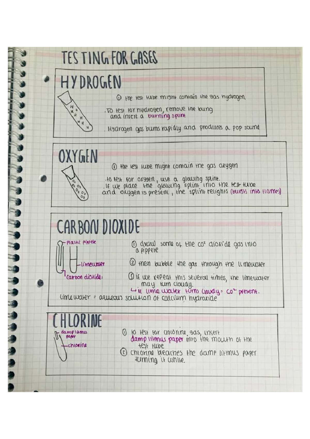 GCSE Biology Notes: Testing for Gases (H2, O2, CO2, Cl2) - Studocu