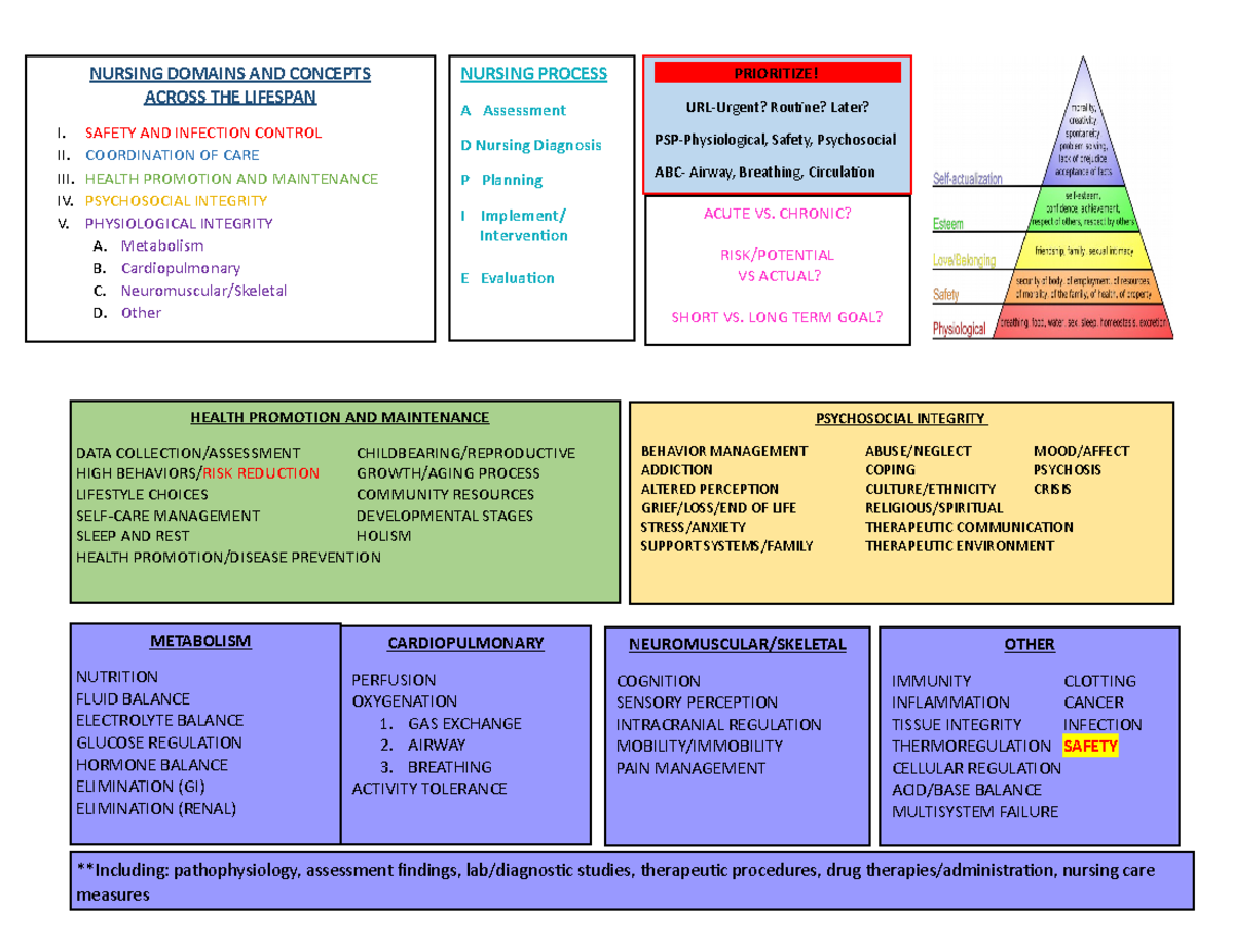 RN Patient Concept List - ACUTE VS. CHRONIC? RISK/POTENTIAL VS ACTUAL ...