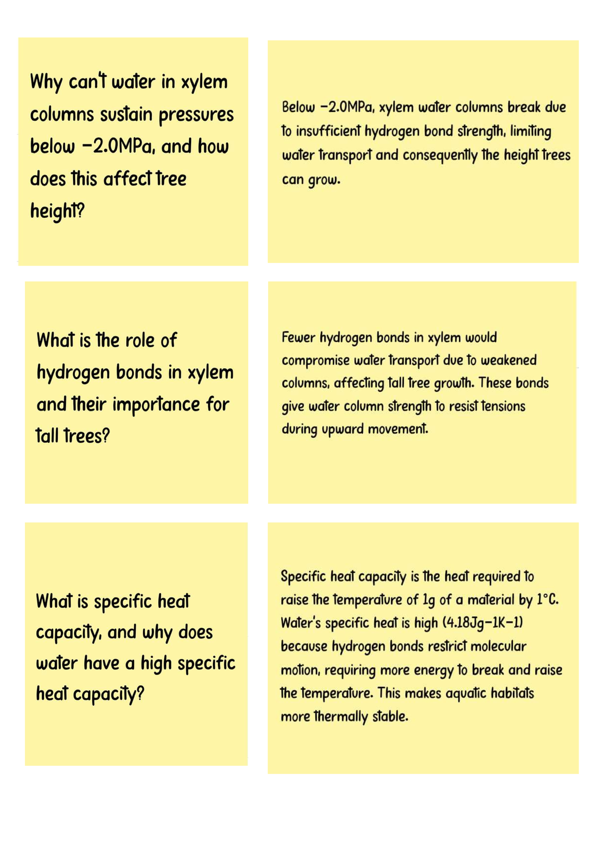 Flash Cards: Water Properties and Xylem Function (Bio 101) - Studocu