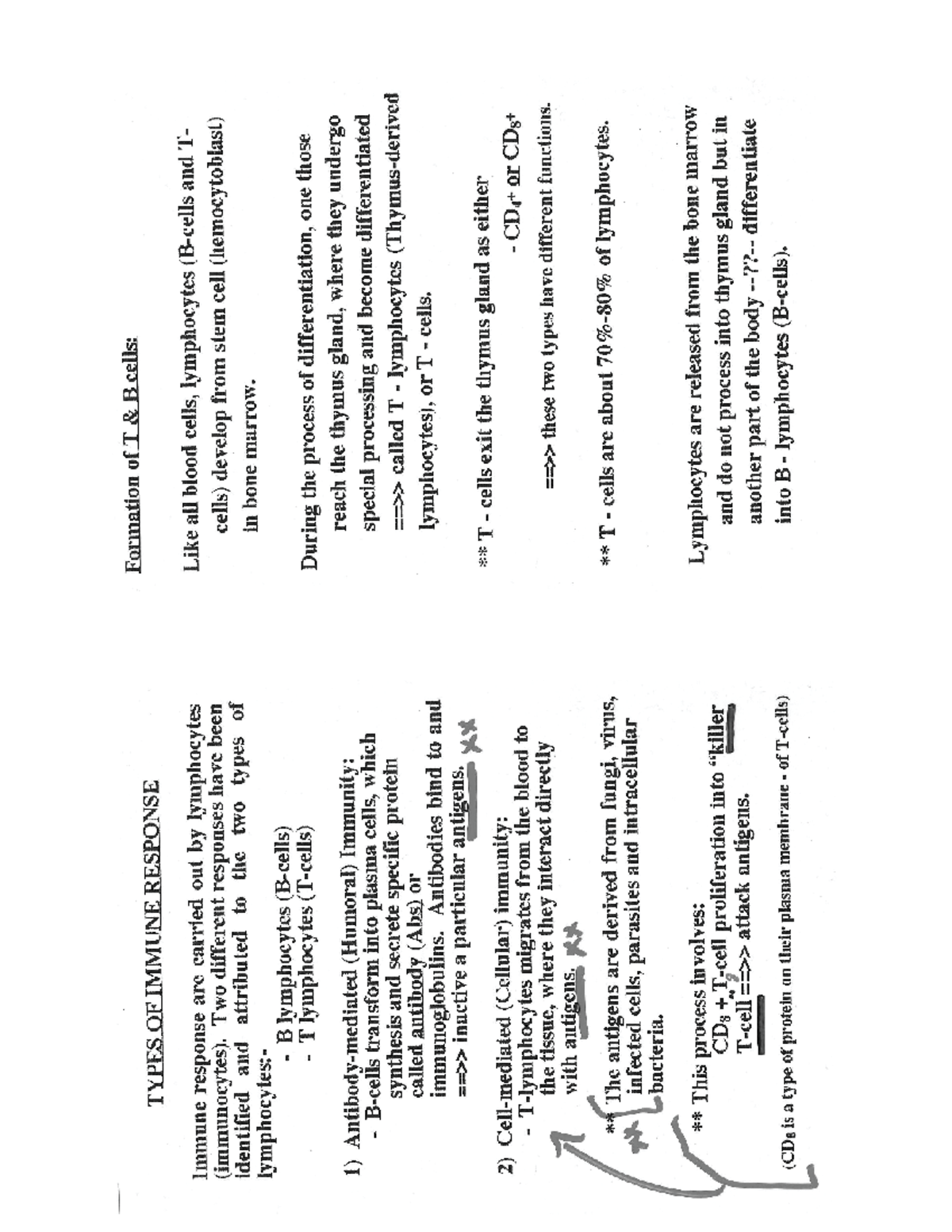 Biol 244 Immune System: T B Cells & Types of Immune Response Notes ...