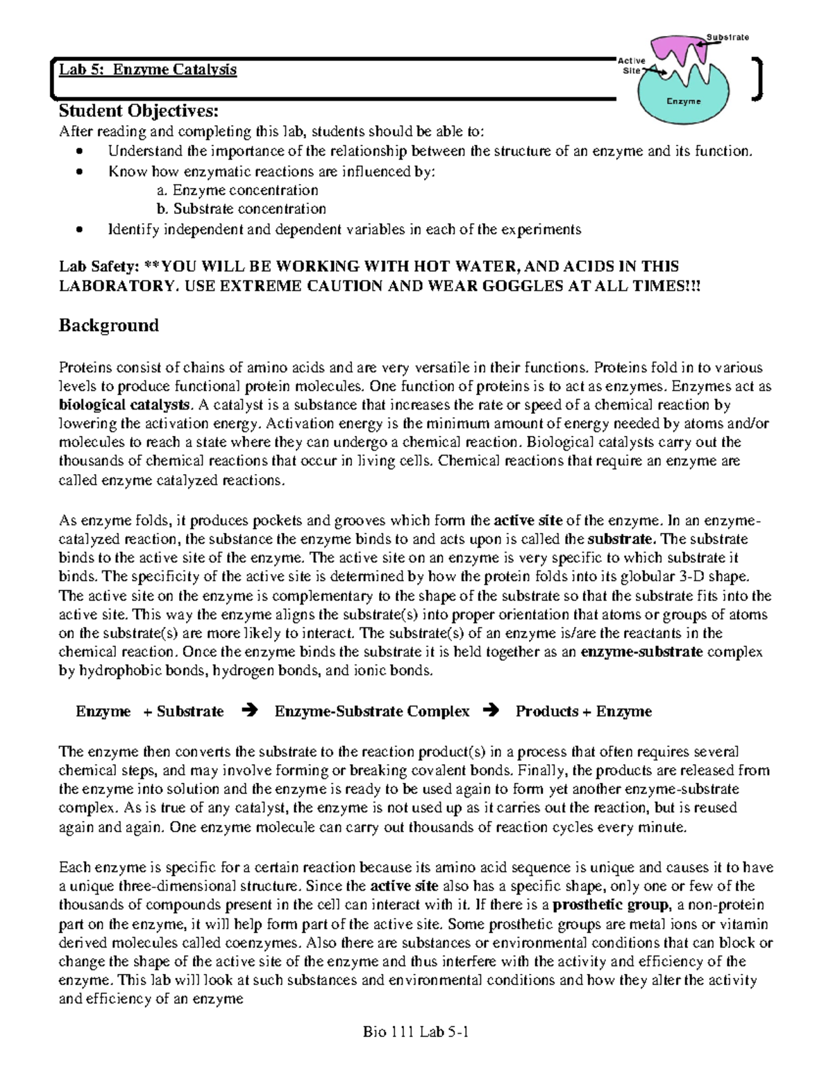 Lab 5: Enzyme Catalysis Investigating Concentration Effects on Activity ...