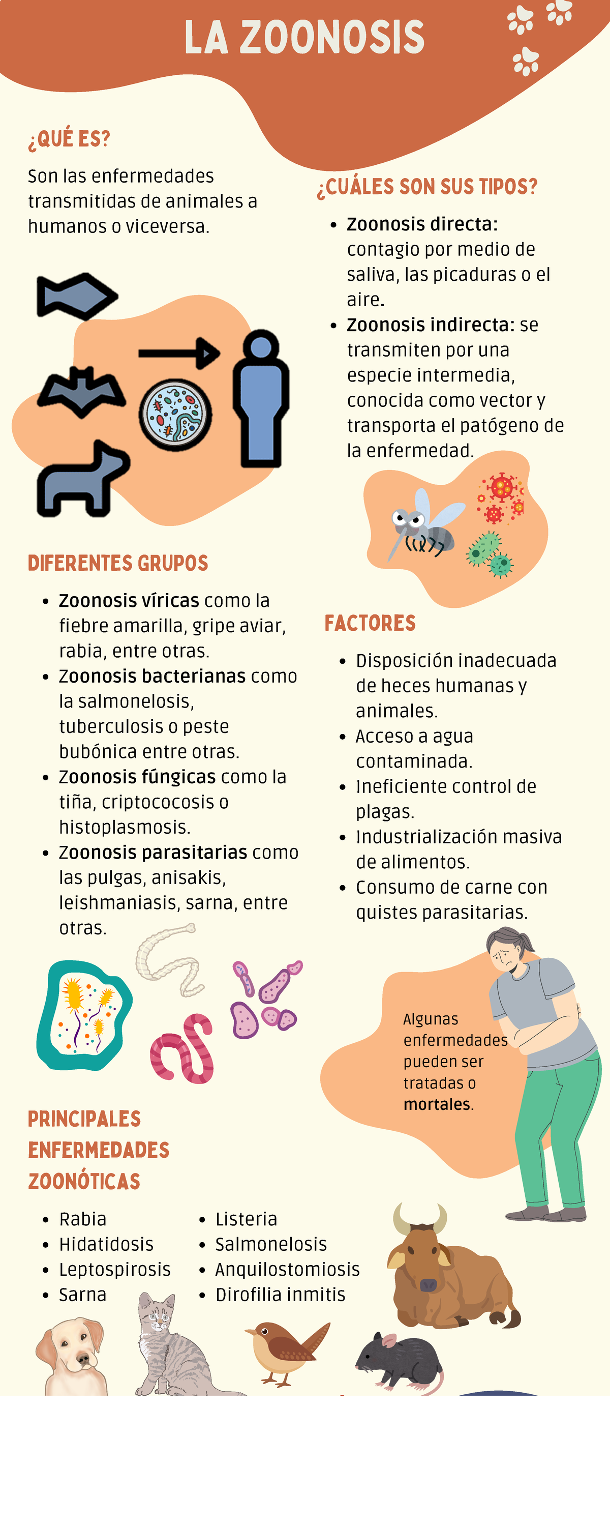 Infografía sobre Zoonosis: Tipos, Factores y Enfermedades Clave - Studocu
