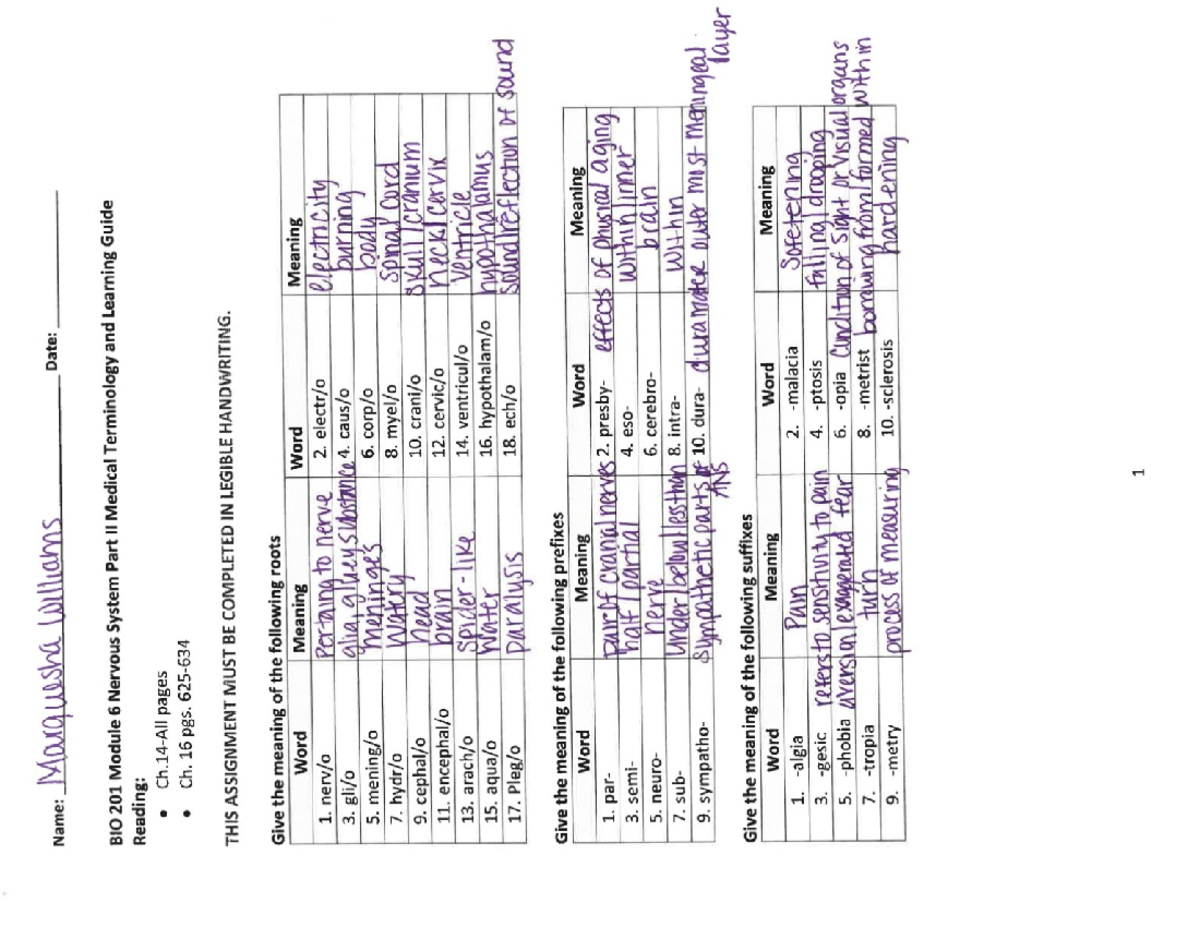 BIO 201 Module 6 Study Guide: Nervous System Terminology and Functions ...
