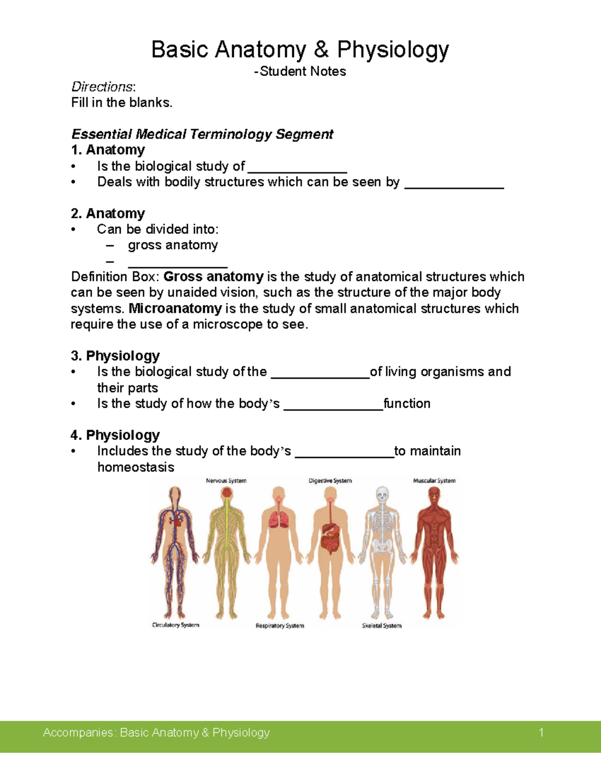 Basic Anatomy & Physiology Worksheet-Student Notes-2 -Student Notes ...