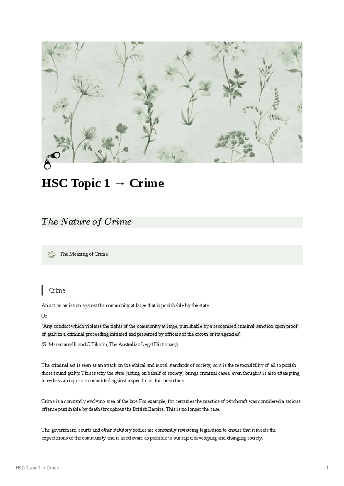 HSC Crime Notes: Comprehensive Overview of Criminal Law and Offences ...