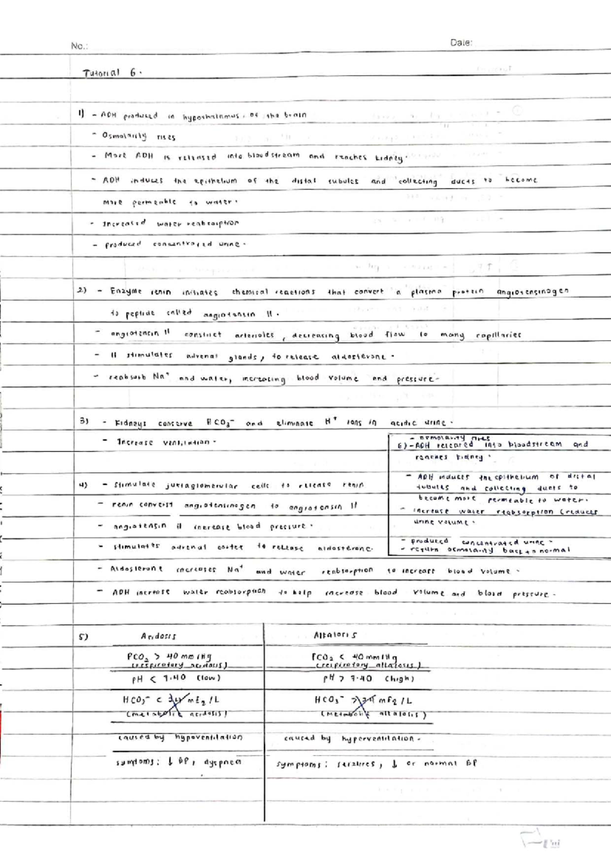 Biology Tutorial 6 - BIO TUTO: ADH, Renin, and Acid-Base Balance - Studocu