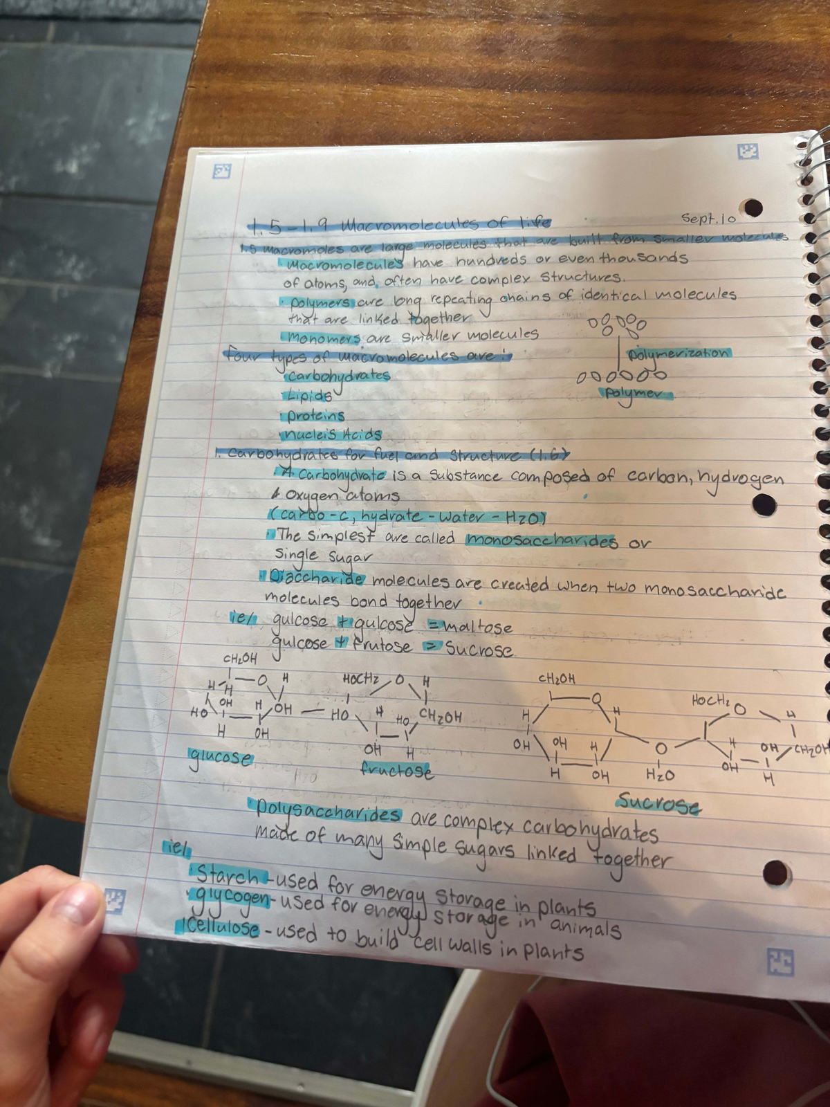 Final Exam Notes on Macromolecules for Course XYZ101 - Studocu