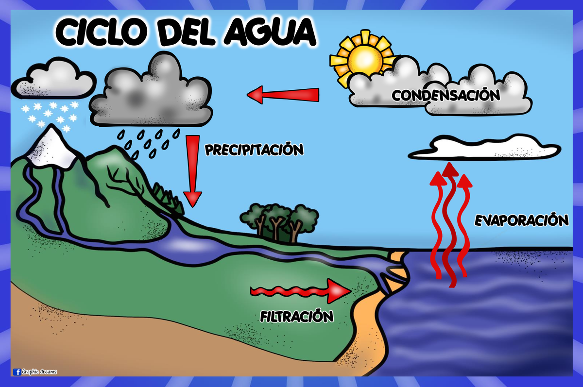Ciclo DEL AGUA - Geografía I - CICLO DEL AGUA CONDENSACIÓN ...