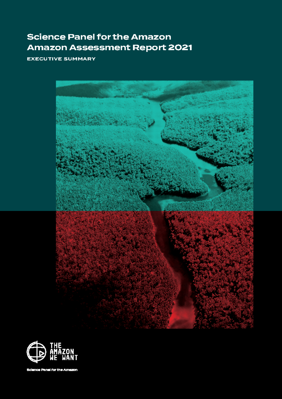 Amazon Assessment Report 2021: Executive Summary by Science Panel ...