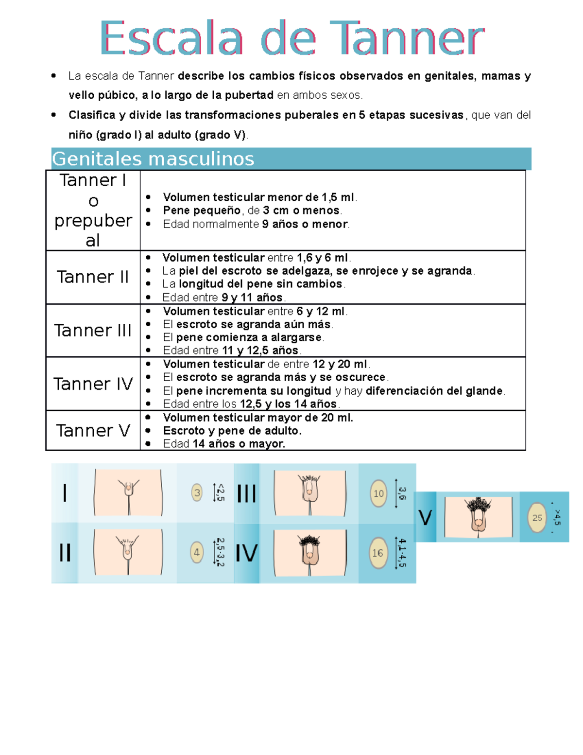 5 Tanner - NANAAAAAAAAAAAA - La escala de Tanner describe los cambios ...