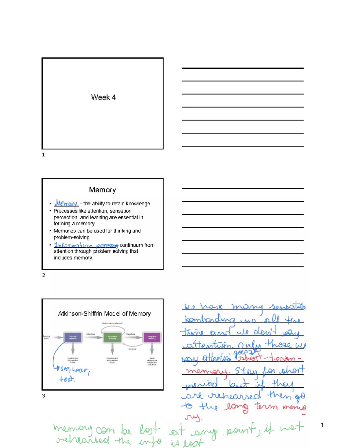 Cognitive Psychology: Memory Processes and Models (PSY 101) - Studocu