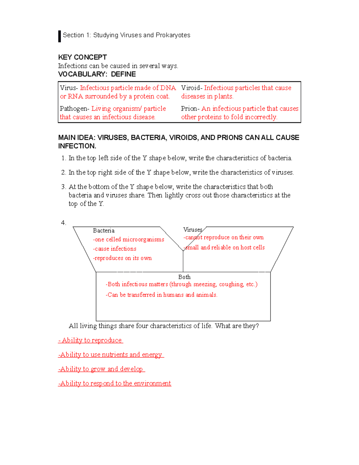 BIO 101: Bacteria and Viruses Study Guide for Midterm Review - Studocu