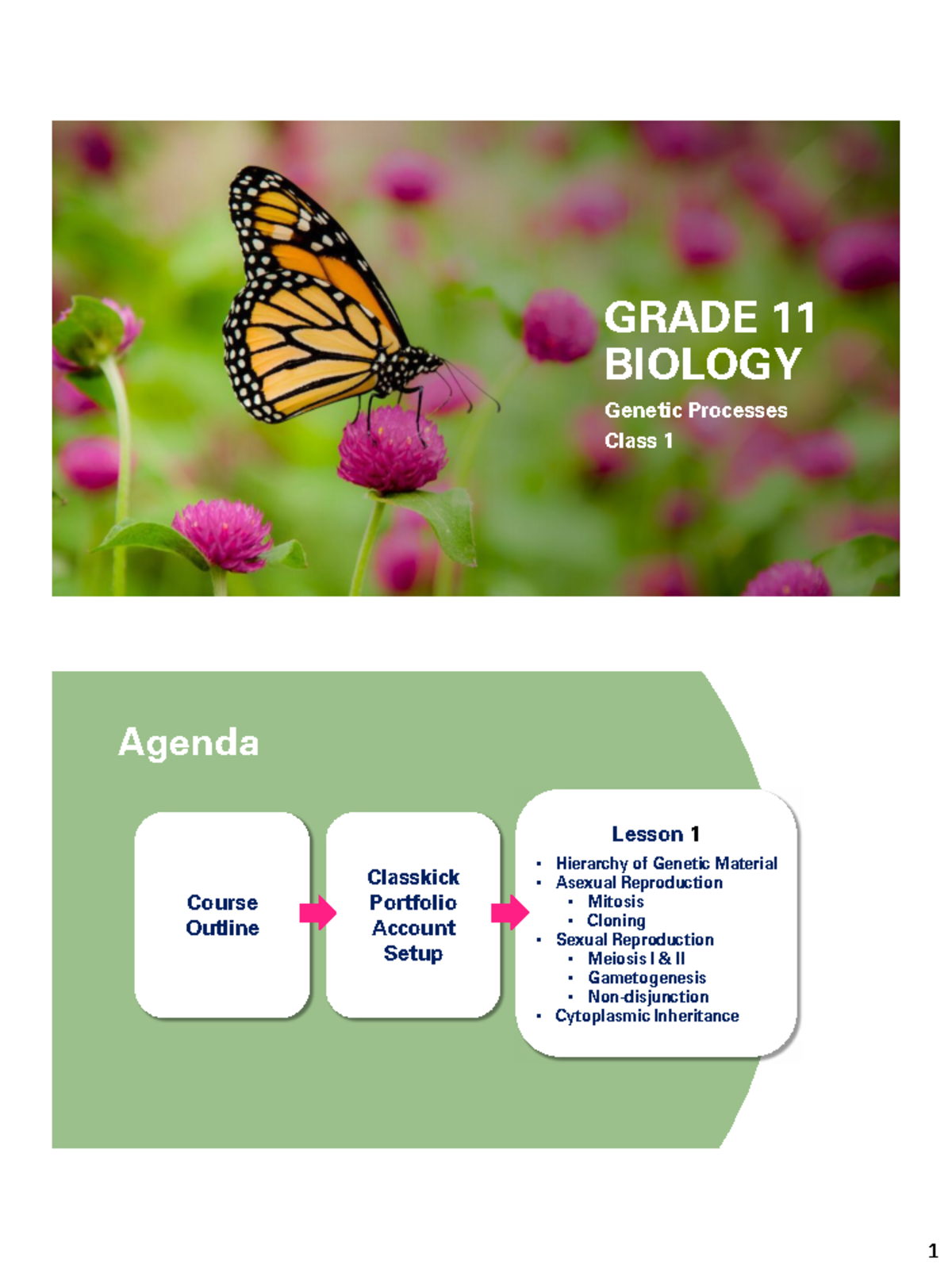GRADE 11 BIOLOGY Genetic Processes Lesson 1 Class Notes - Studocu