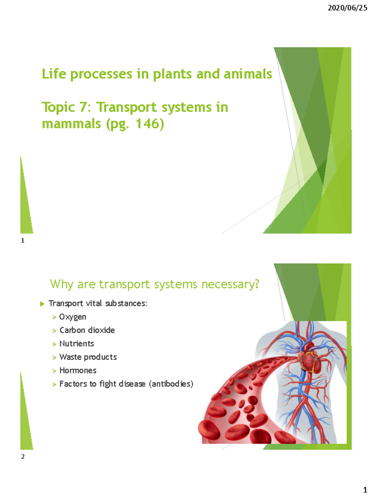 Gr10 Topic 7: Transport Systems in Mammals - Overview and Key Concepts - Studocu