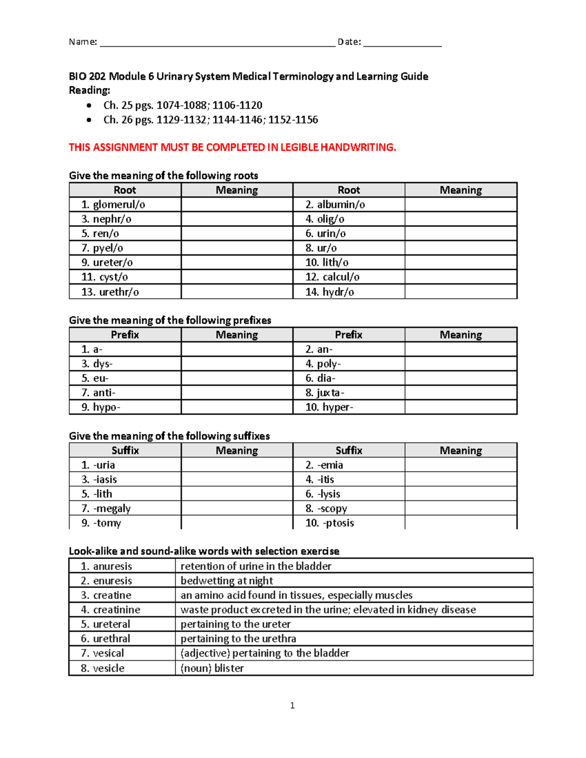 BIO 202 Module 6 Urinary System Terminology & Learning Guide - Studocu