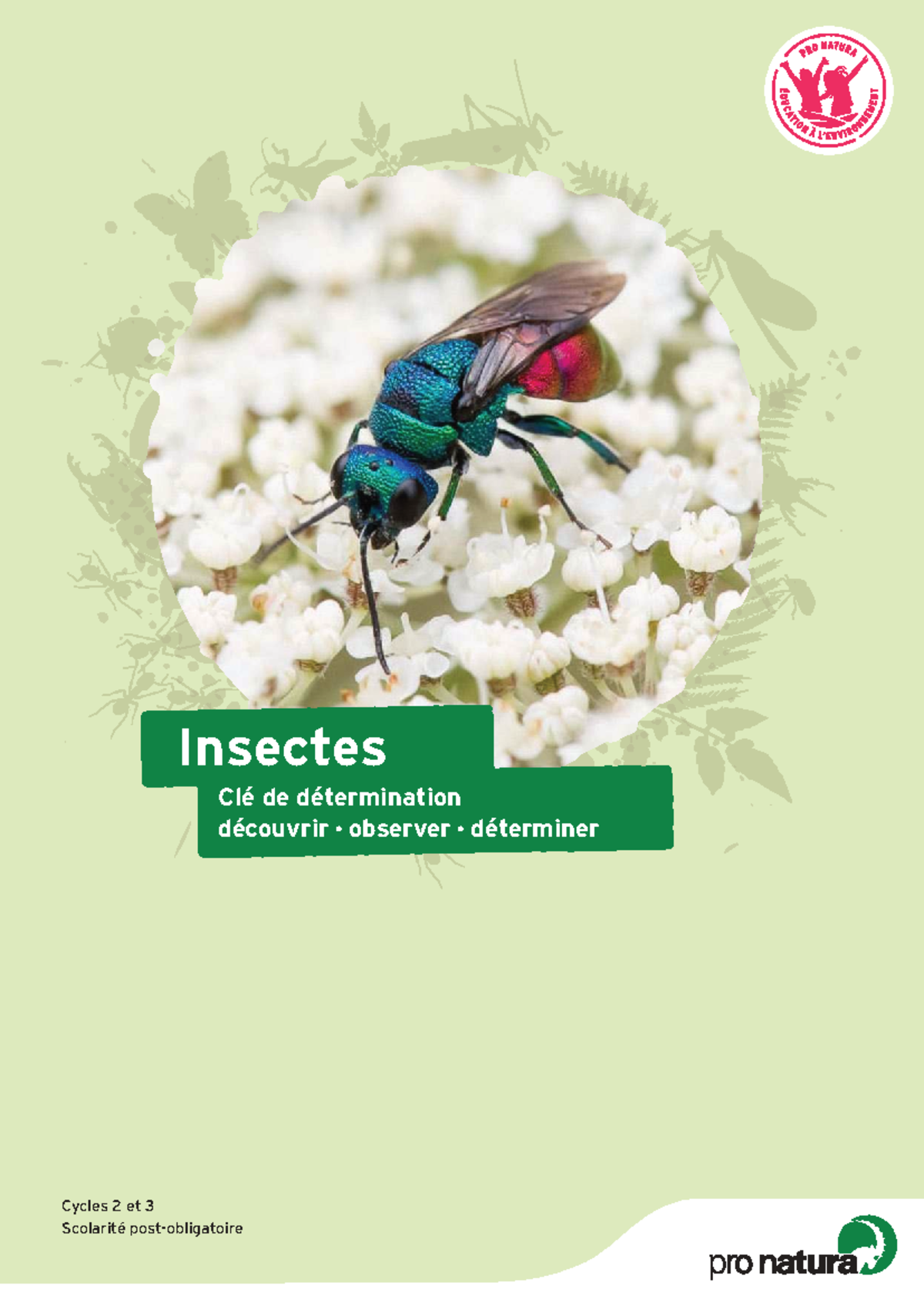 Clé de Détermination des Insectes pour Cycles 2 et 3 - Pro Natura - Studocu