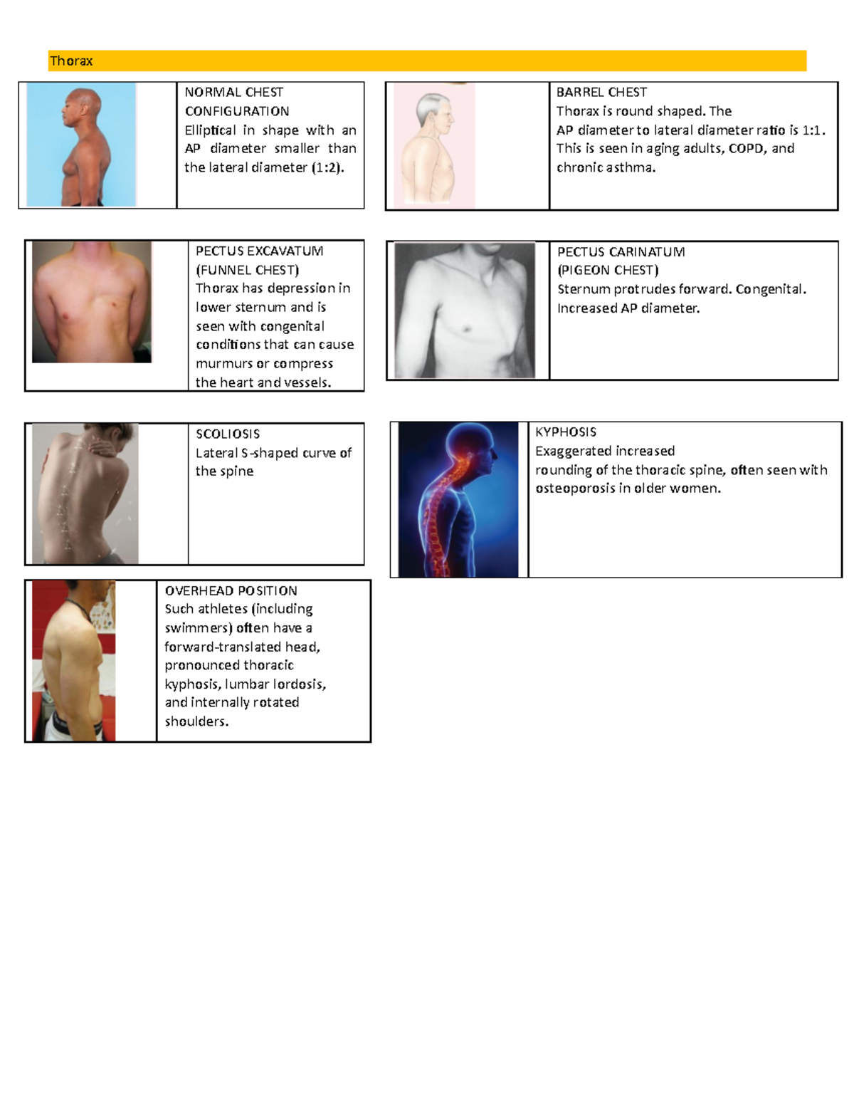 Thorax Assessment: Key Points on Chest and Breast Conditions - Studocu