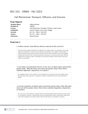 [Solved] n the second part of this exercise the IKI solution in the cup ...