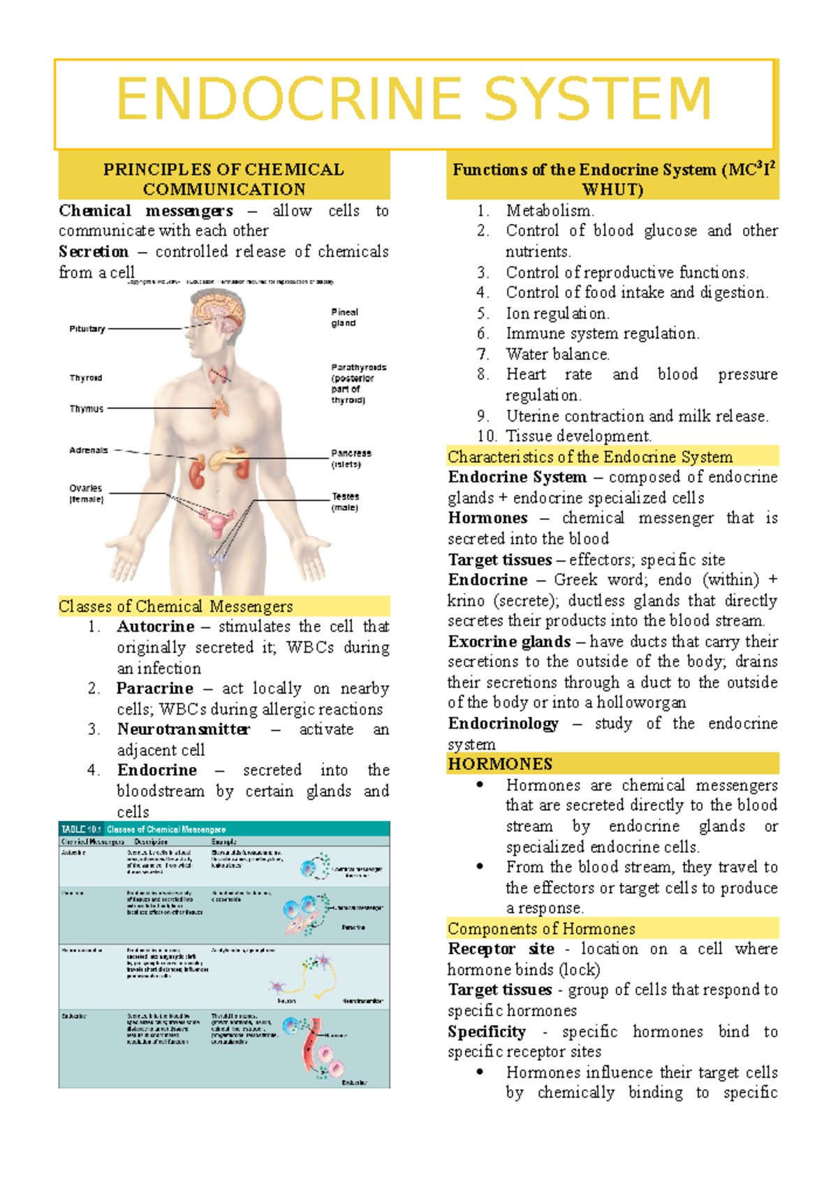 Endocrine System - PRINCIPLES OF CHEMICAL COMMUNICATION Chemical ...