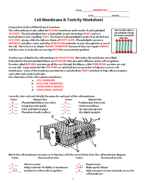 Qcaa biology unit 3 compiled notes 2021 - BIOLOGY UNIT 3 BIOLOGY AND ...