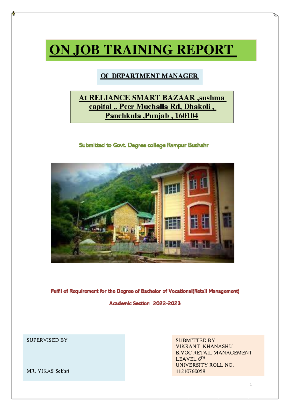 **OJT Report: Internship Experience at Reliance Smart Bazar (B.Voc ...