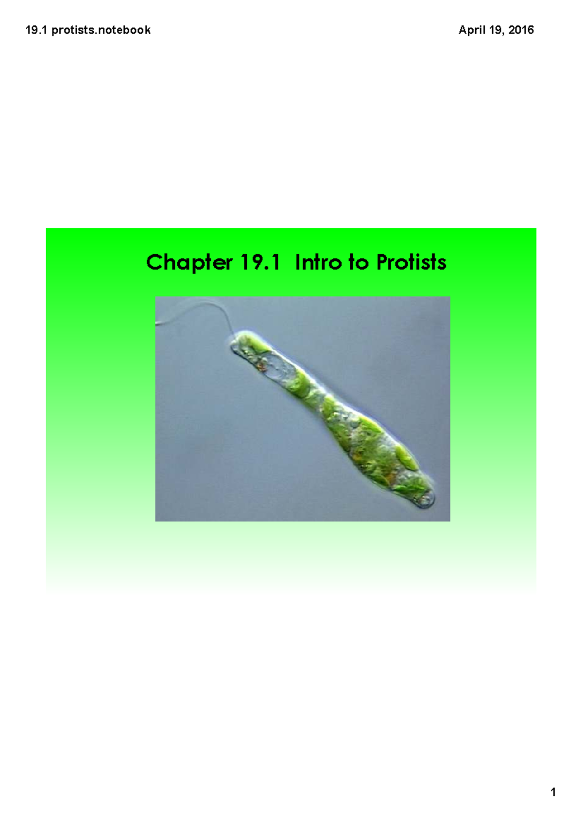 Chapter 19.1 Notes: Introduction to Protists and Their Groups - Studocu