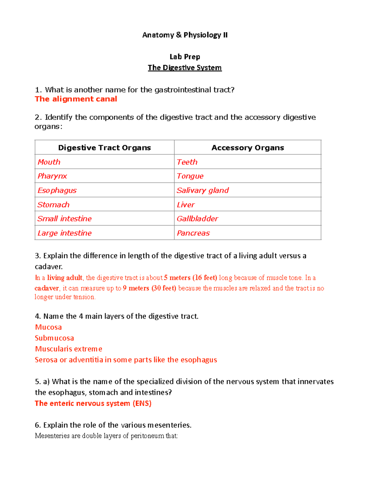 Anatomy Physiology II Lab Prep: Digestive System Overview - Studocu