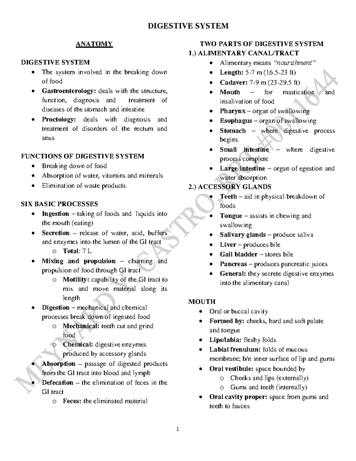 Digestive System Anatomy Notes (BIO 101) - Studocu