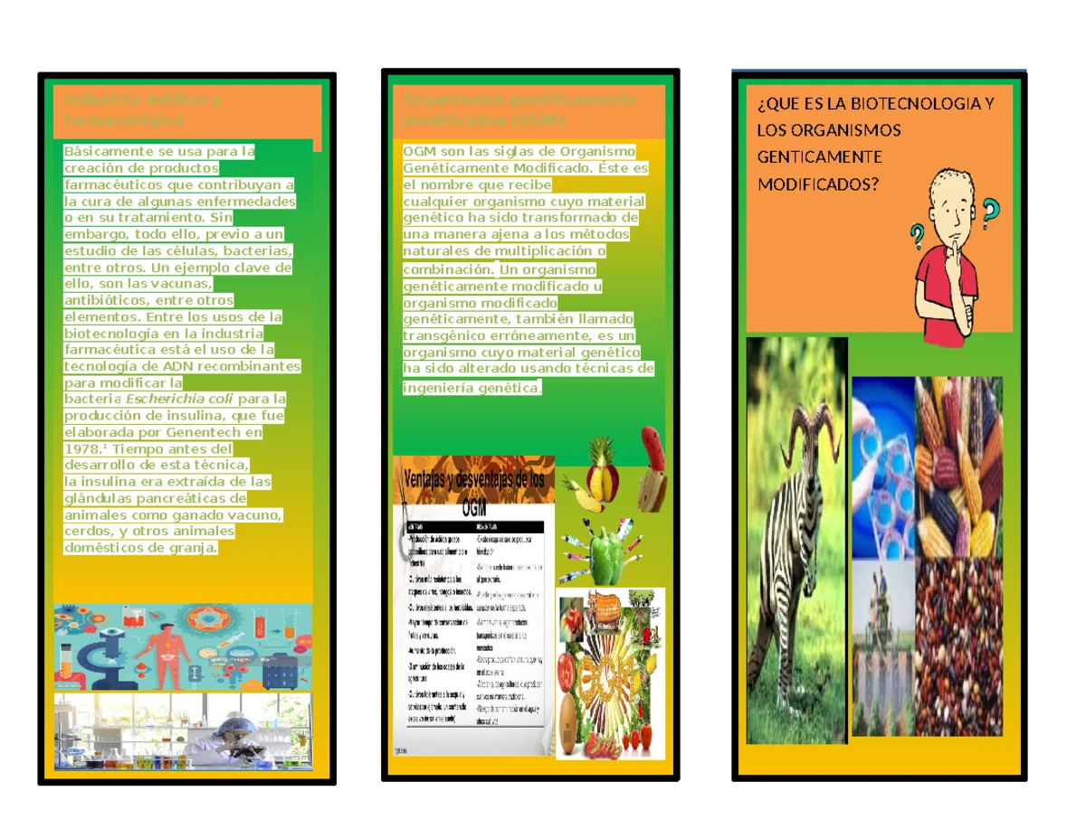 Actividad Integradora NM20: Respuestas y Ejercicios de Optimización ...