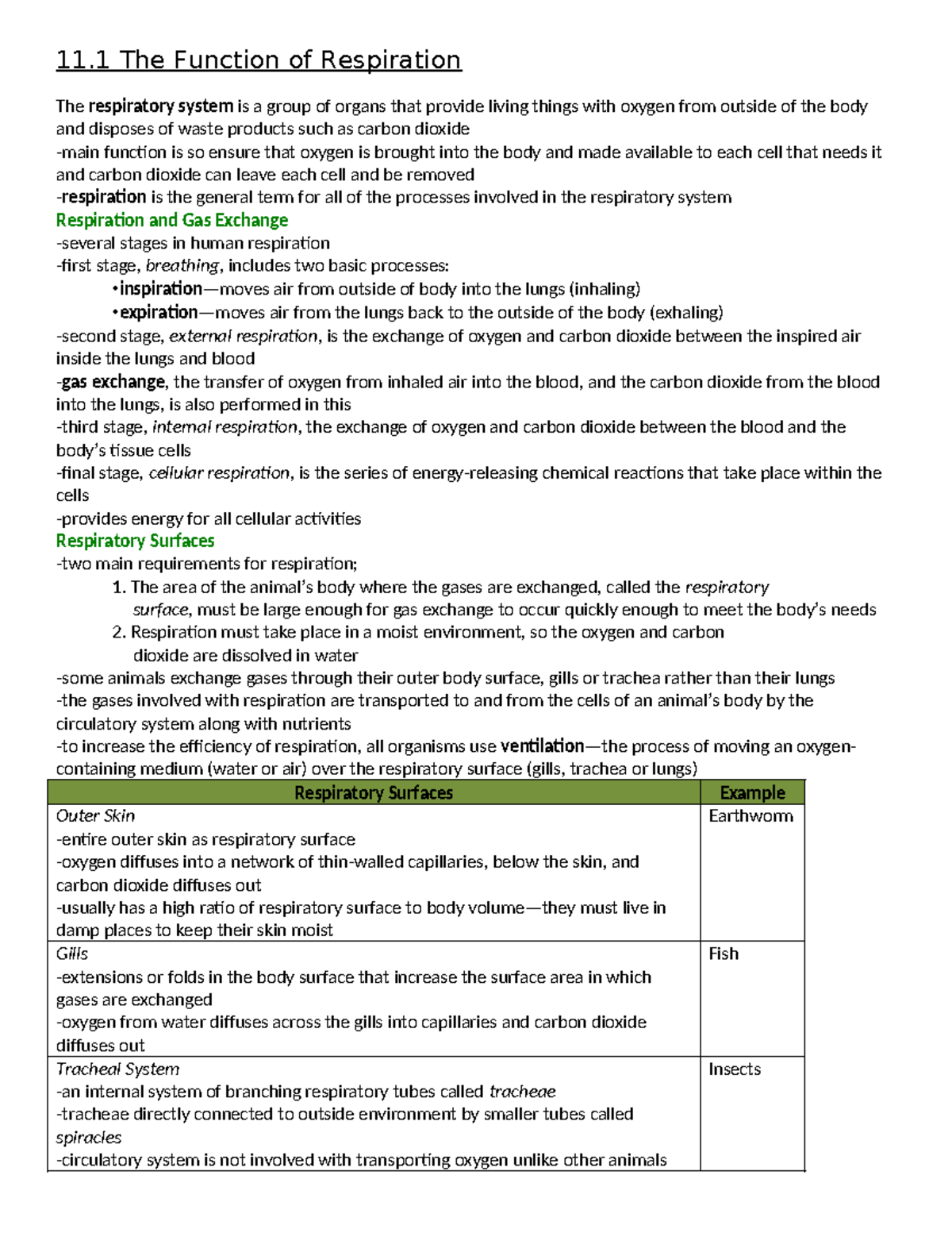 Grade 11 Biology Chapter 11: Respiratory System Overview and Disorders ...