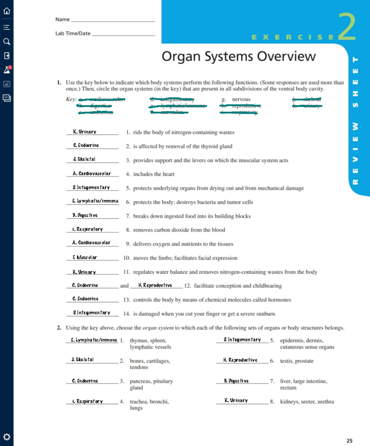 Human Anatomy Exercise 2 - BIOL 030 - K. Urinary J. Skeletal E ...