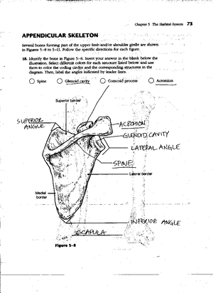 Lab Exercise 7 Review Sheet - 7 R E V I E W S H E E T E X E R C I S E NAME - Studocu