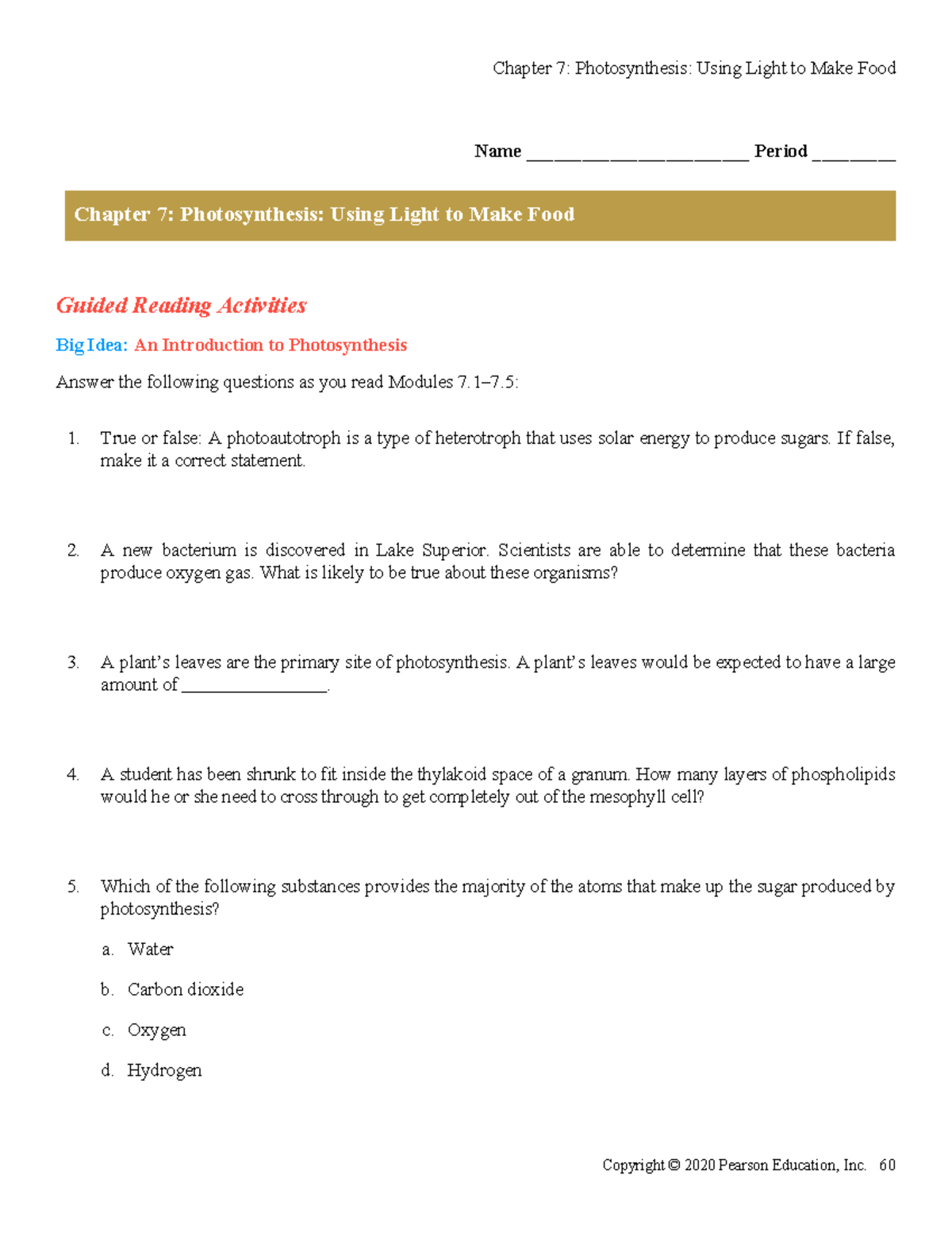 CBCC10 Guided Reading: Chapter 7 - Photosynthesis Activities - Studocu