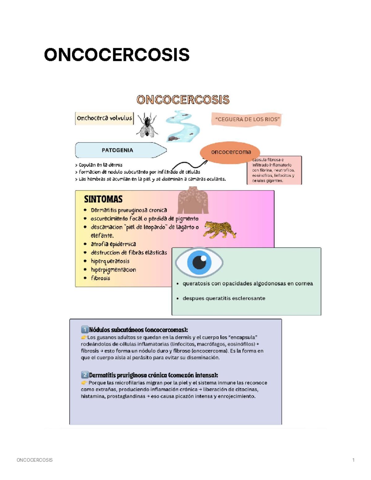 Diagnóstico y Tratamiento de Oncocercosis - Robbins 10ma Edición - Studocu