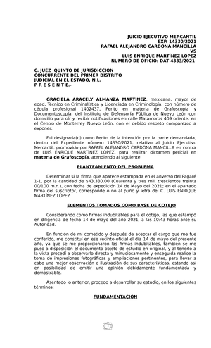 Resumen Grado - Elementos Constitutivos y Morfológicos de la ...