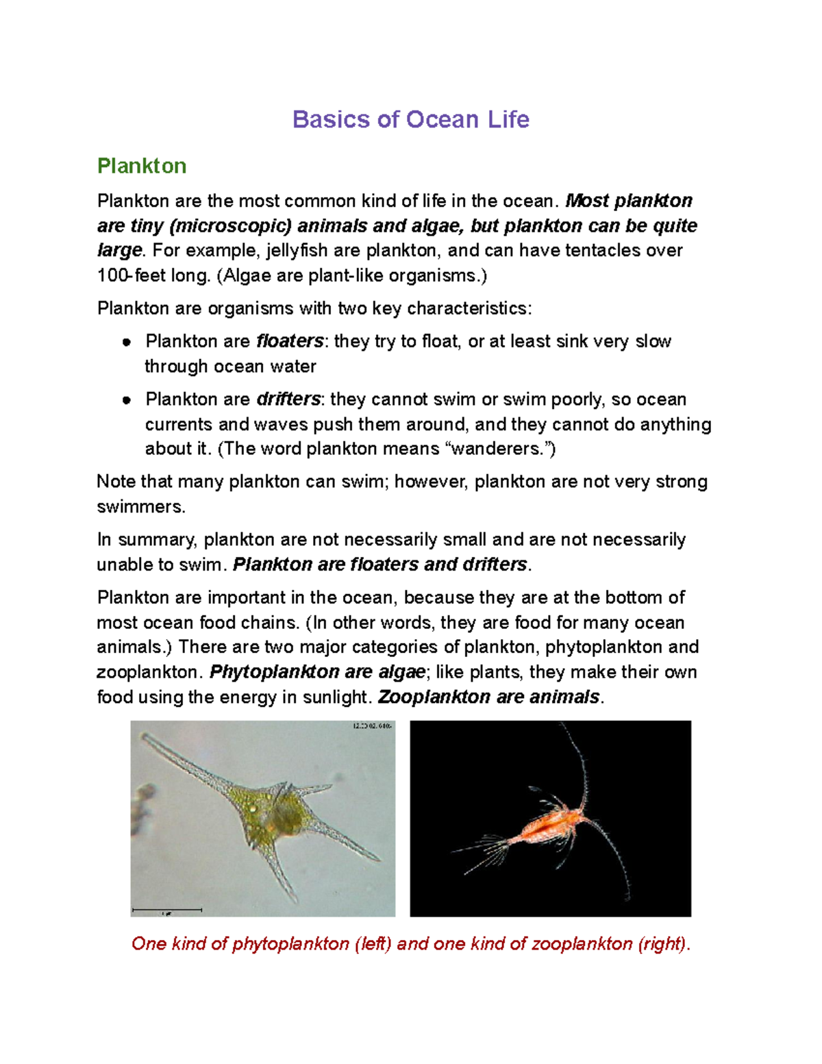 Basics of Ocean Life: Understanding Phytoplankton, Nutrients, and Food ...