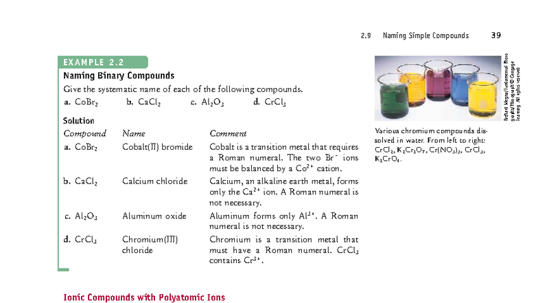 Polyatomic Ions: Naming and Examples for Chemistry 101 - Studocu