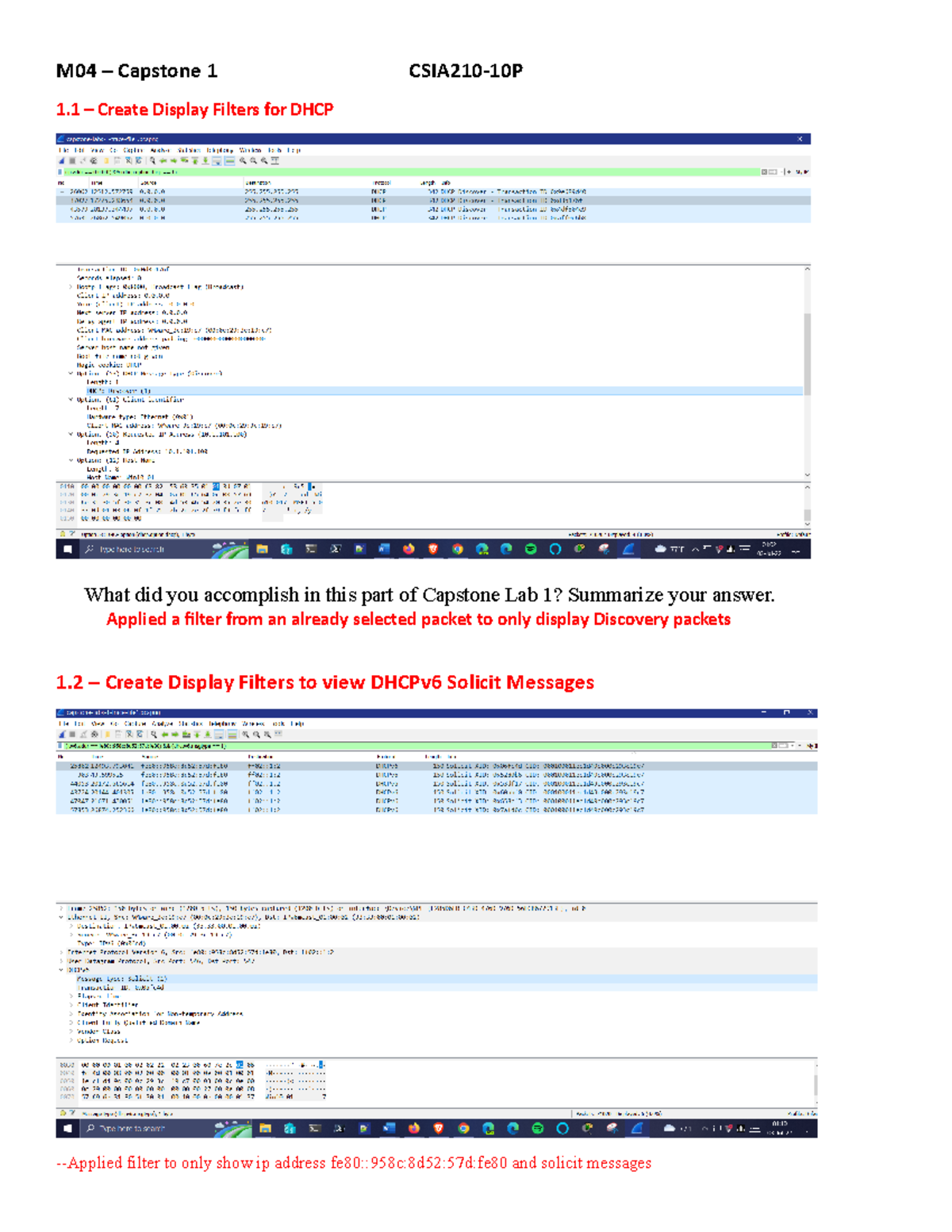 M04 - Midterm Capstones - M04 – Capstone 1 CSIA210-10P 1 – Create Display Filters for DHCP What ...