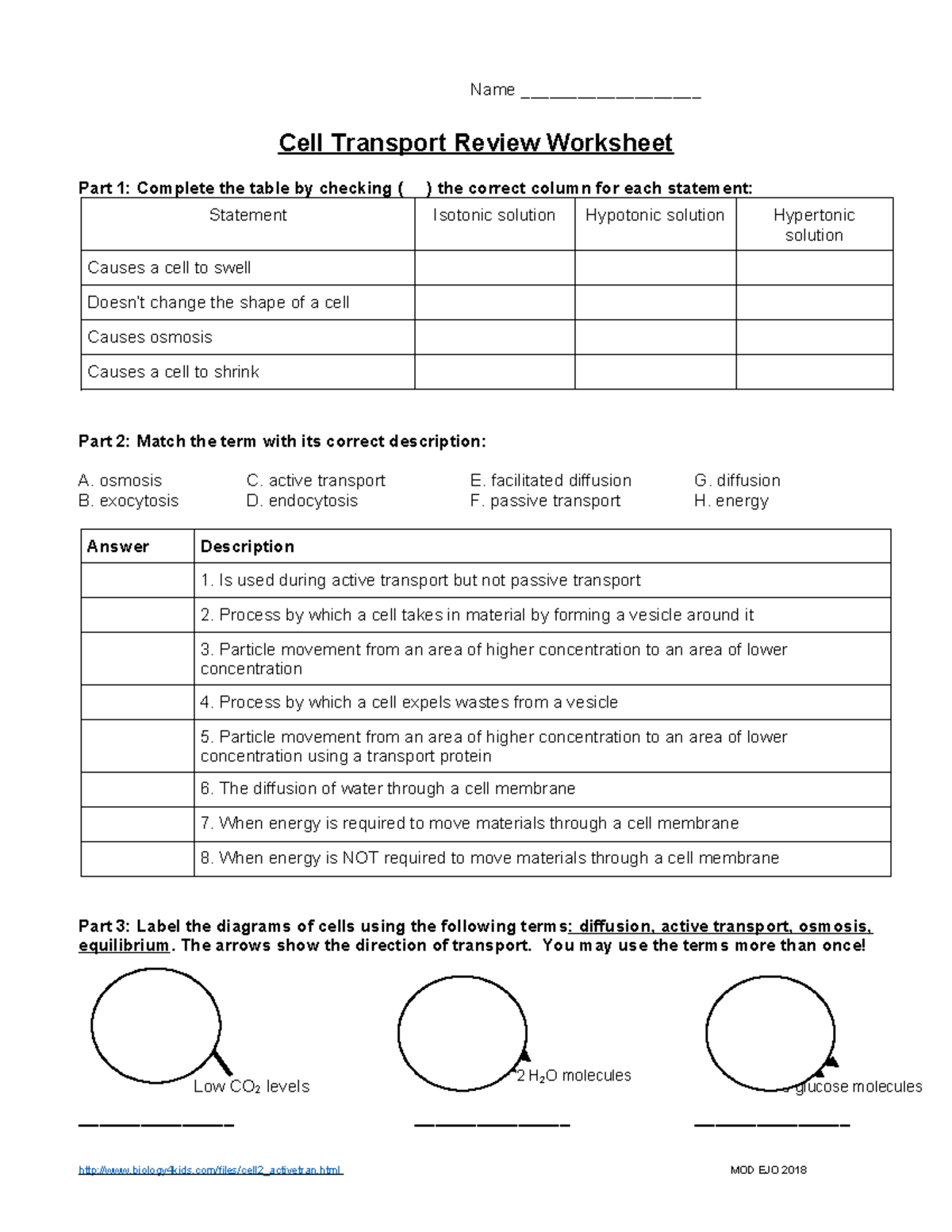Cell Transport Review Worksheet MOD EJO 2018: Comprehensive Guide - Studocu