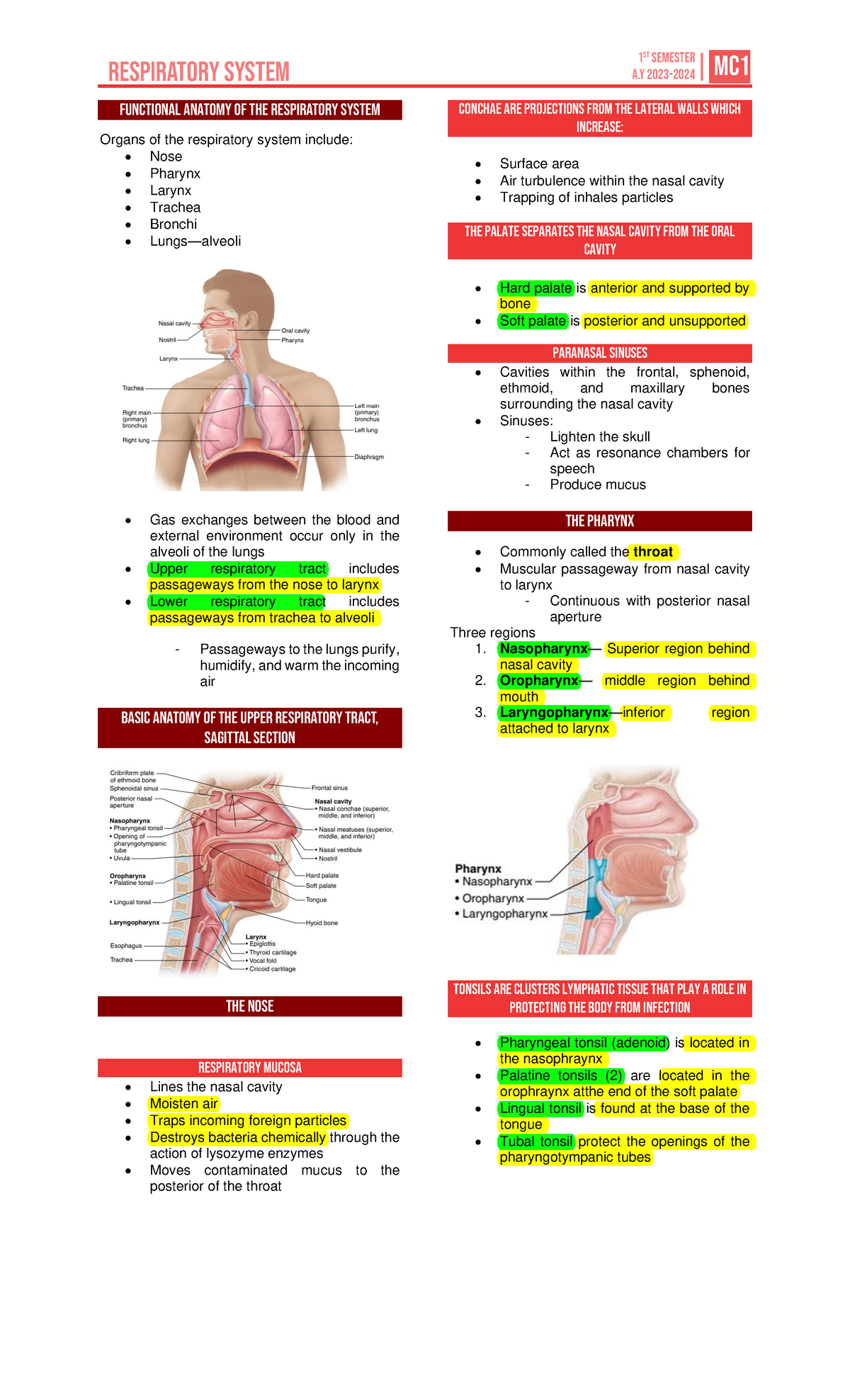 Respiratory System - Respi - RESPIRATORY SYSTEM | MC A 2023- 2024 ...