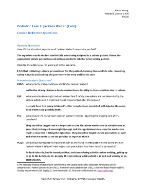 Vincent Brody vSim Clinical Worksheets - CONCEPT MAP WORKSHEET DESCRIBE ...